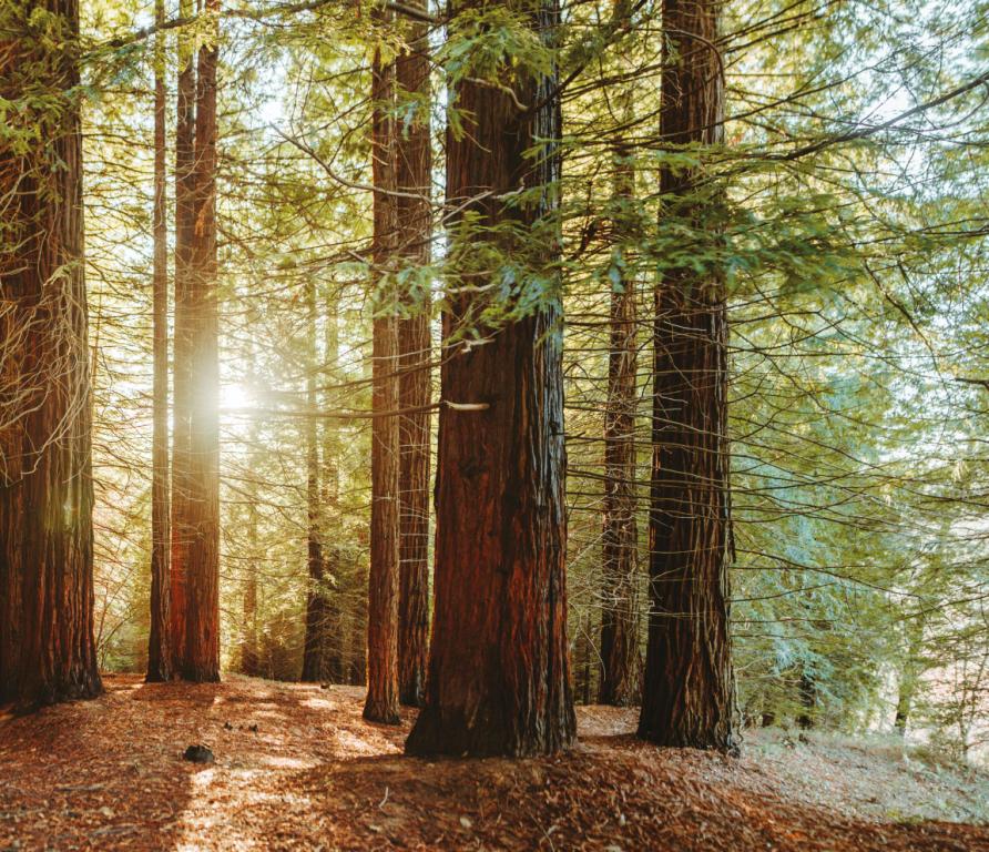 Why The Outdoors Is Amazing For Your Health And Wellbeing - Health ...