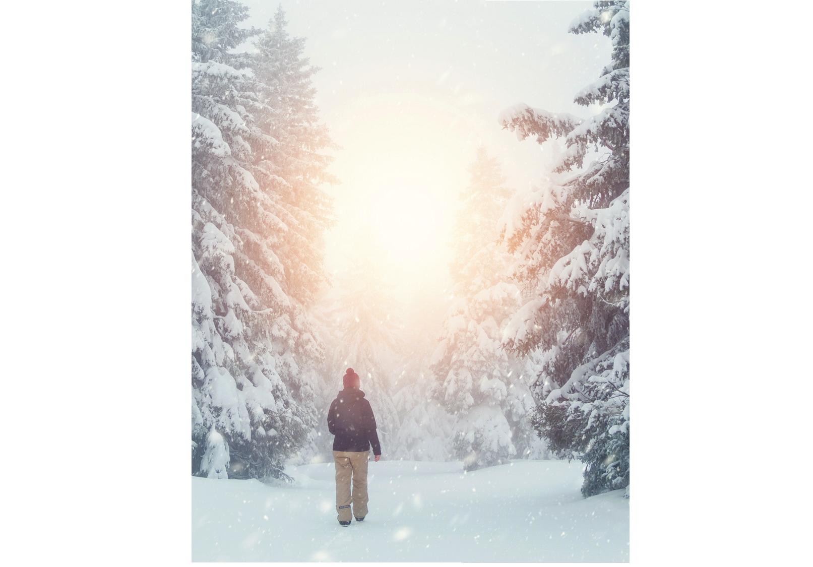 Our Top Winter Walks - Health & Wellbeing