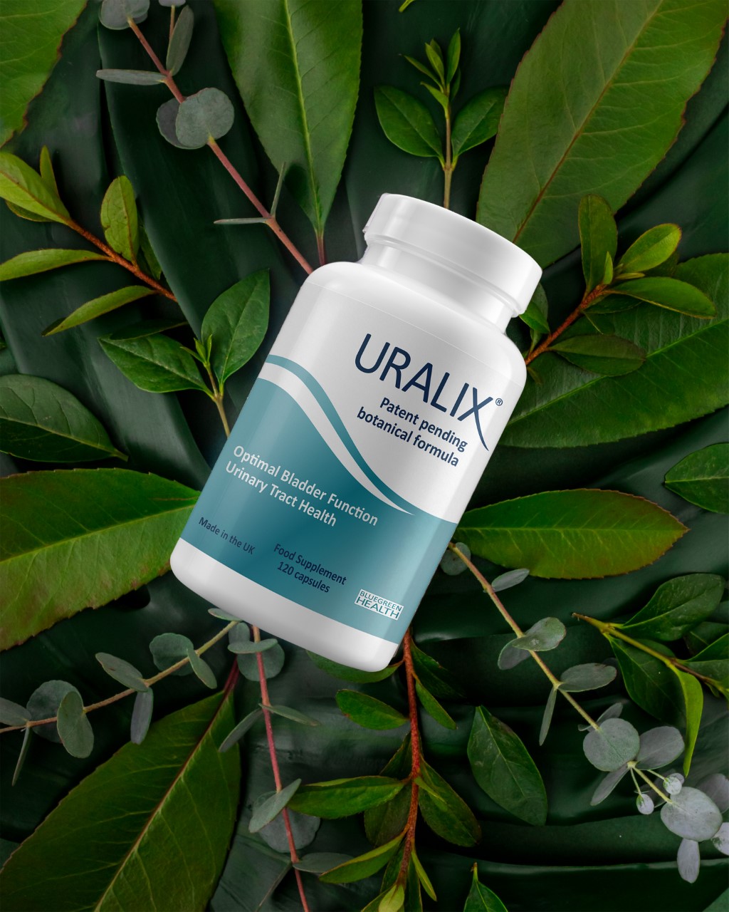 A herbal remedy to treat UTIs during menopause - Health & Wellbeing